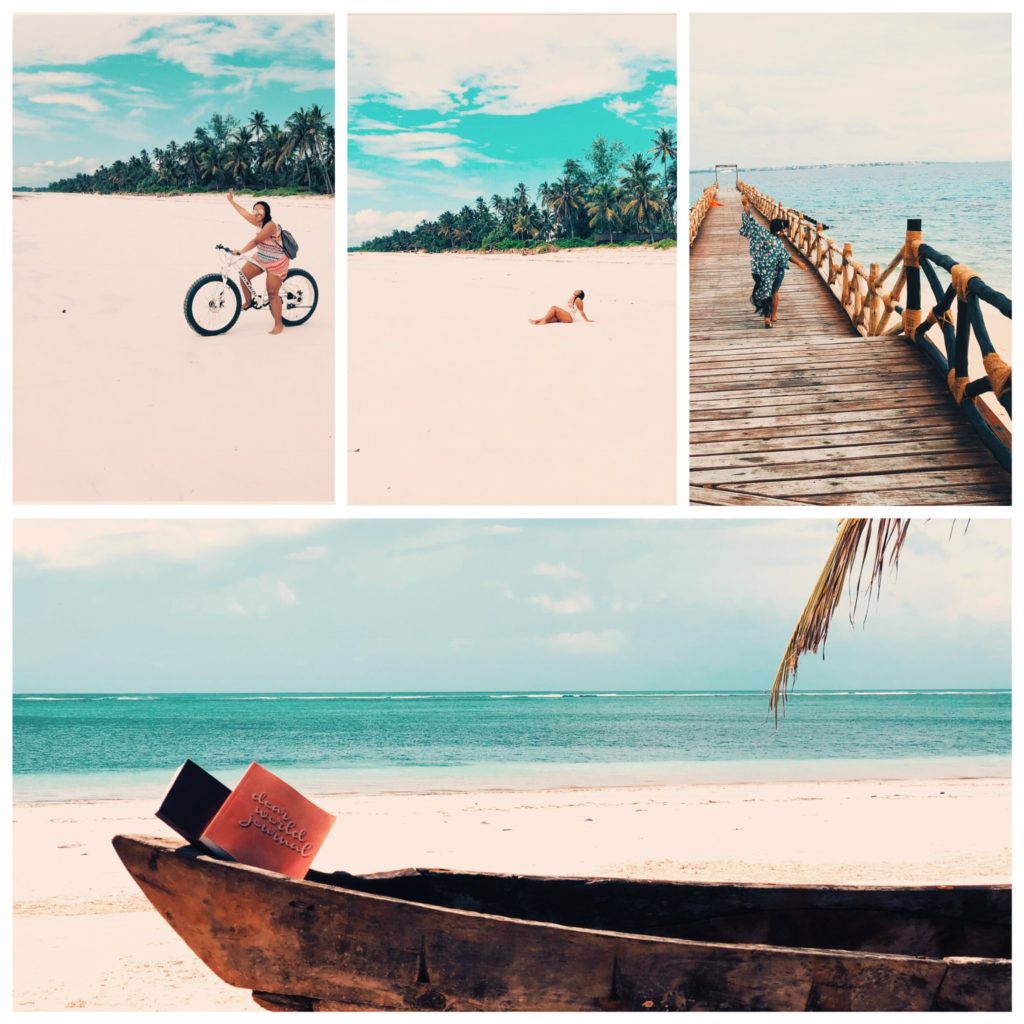 Ultimate Guide To Visiting Zanzibar - Tray Table Seat Back